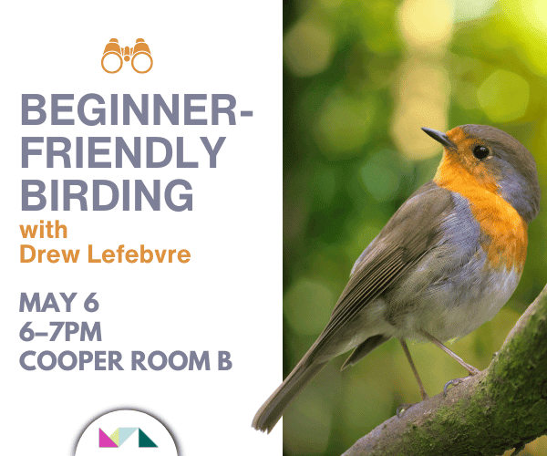 Beginner-Friendly Birding